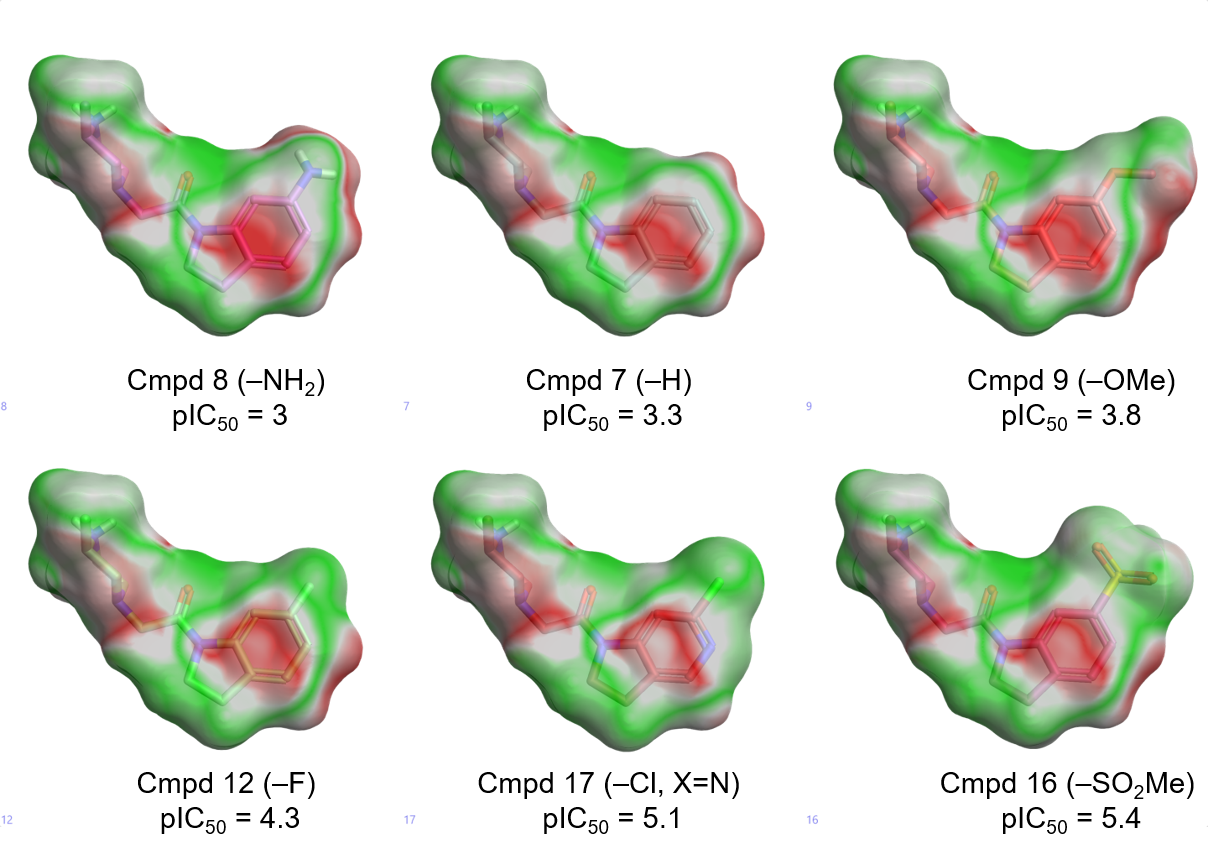 Investigating the SAR of XIAP ligands with Electrostatic ...